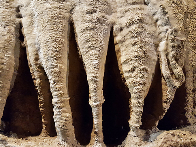 These limestone icicles have been working on their dramatic entrance for millennia&mdash;talk about commitment to the bit!