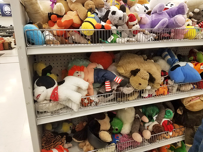 Stuffed animal adoption center where plush companions, slightly loved but full of cuddle potential, await their forever homes.