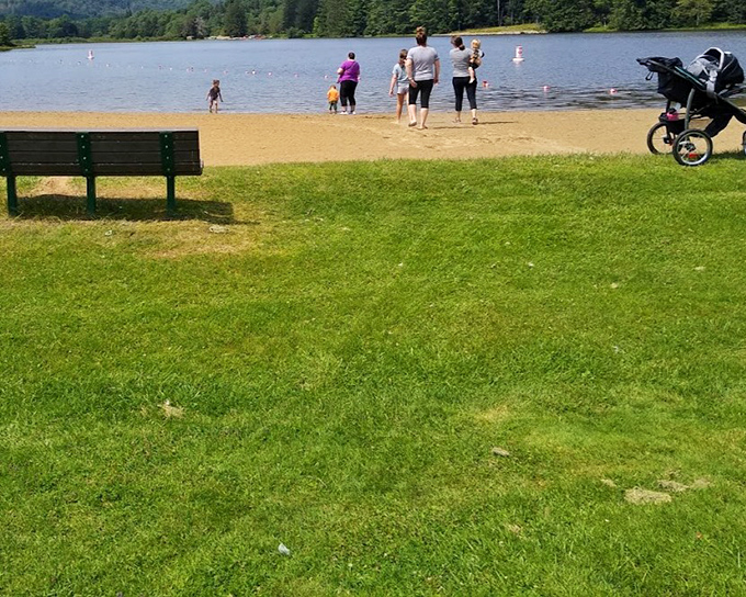 Sandy shores meet grassy knolls at Chapman's beach area. The perfect spot for families pretending they don't all secretly want to build sandcastles.