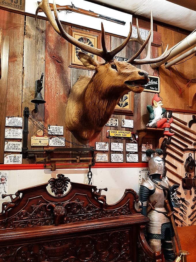 The ultimate conversation starter for your living room – nothing says "interesting homeowner" quite like a mounted elk above antique furniture.