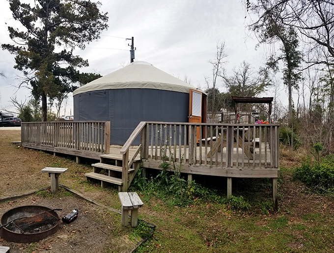 Glamping goes circular at Torreya's yurt. For when you want to commune with nature but aren't ready to surrender your roof privileges.