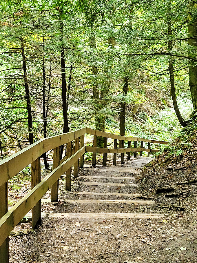 These wooden steps descending into the forest feel like the entrance to a fairy tale&mdash;just with better cell reception and fewer wicked witches.