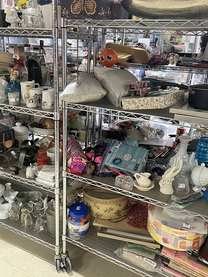 Shelves packed with potential treasures await the patient hunter. That orange goldfish peeking out might be exactly what your knickknack shelf is missing.