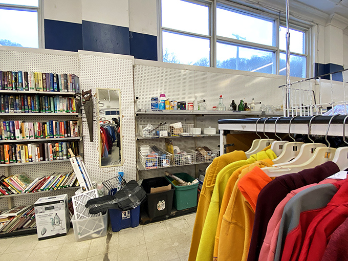 Books and bright sweaters coexist in perfect harmony&mdash;intellectual stimulation and cozy warmth, the ultimate winter survival kit.