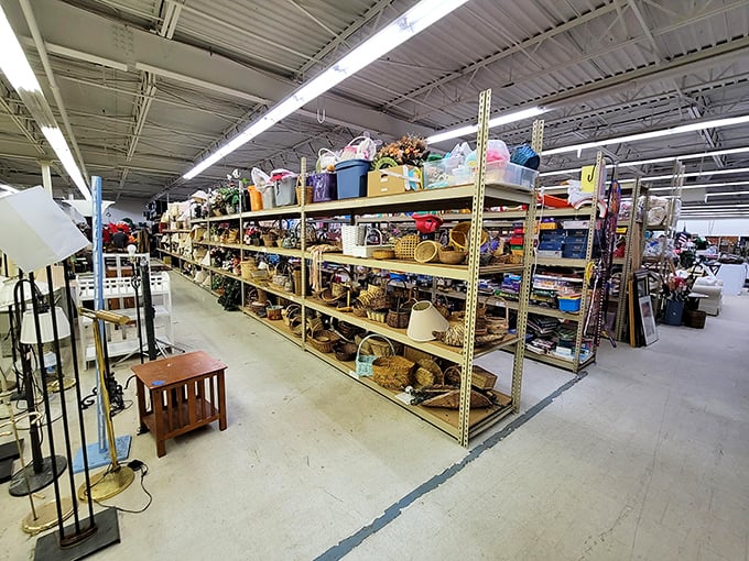 Towering shelves packed with household treasures&mdash;like an archaeological dig where every level reveals artifacts from modern American life.