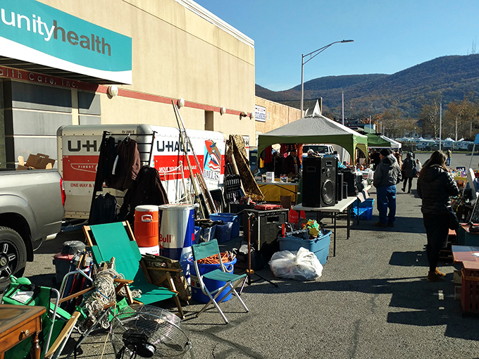 Small-town charm, big-city finds. Beacon's flea market nestles against mountain backdrops where urban weekenders mingle with Hudson Valley locals.