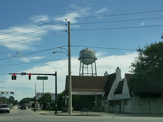 Dunnellon's iconic water tower serves as both landmark and reminder that small towns have the biggest personality.