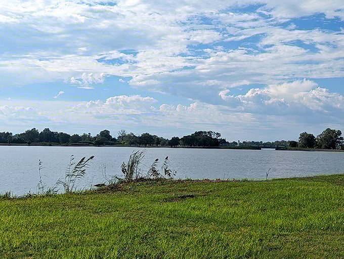 Urban oasis! Frank Holten's expansive lake creates a surprising escape just minutes from city life, perfect for afternoon fishing.