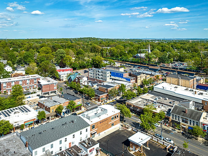 The aerial view of Metuchen shows why they call it "The Brainy Borough"&mdash;smart seniors choose its blend of charm and affordability.