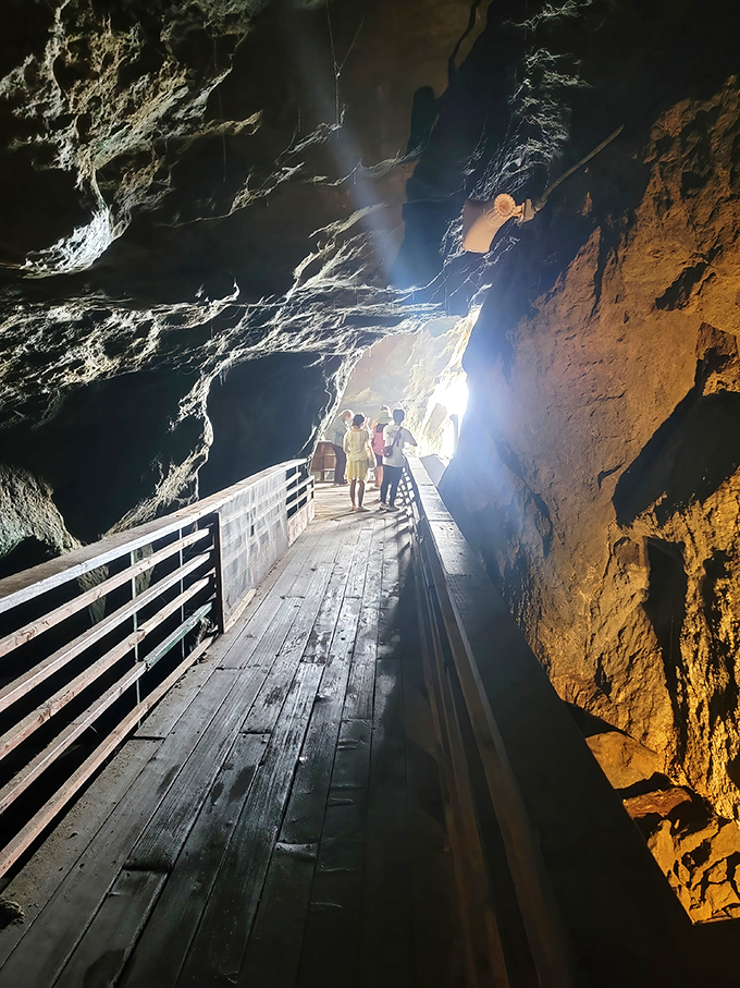 Sunlight streams through Sunny Jim Sea Cave's famous opening. Where the ocean has been playing sculptor for thousands of years with spectacular results.