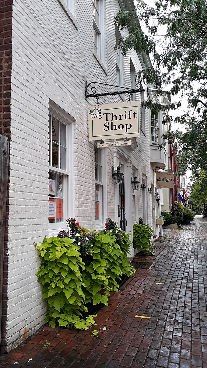 The Twig's elegant hanging sign and historic brick facade hint at the curated treasures waiting inside this Alexandria gem.
