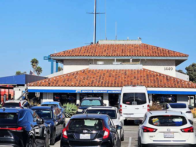 This Polk Street institution proves that the best oyster bars never go out of style.