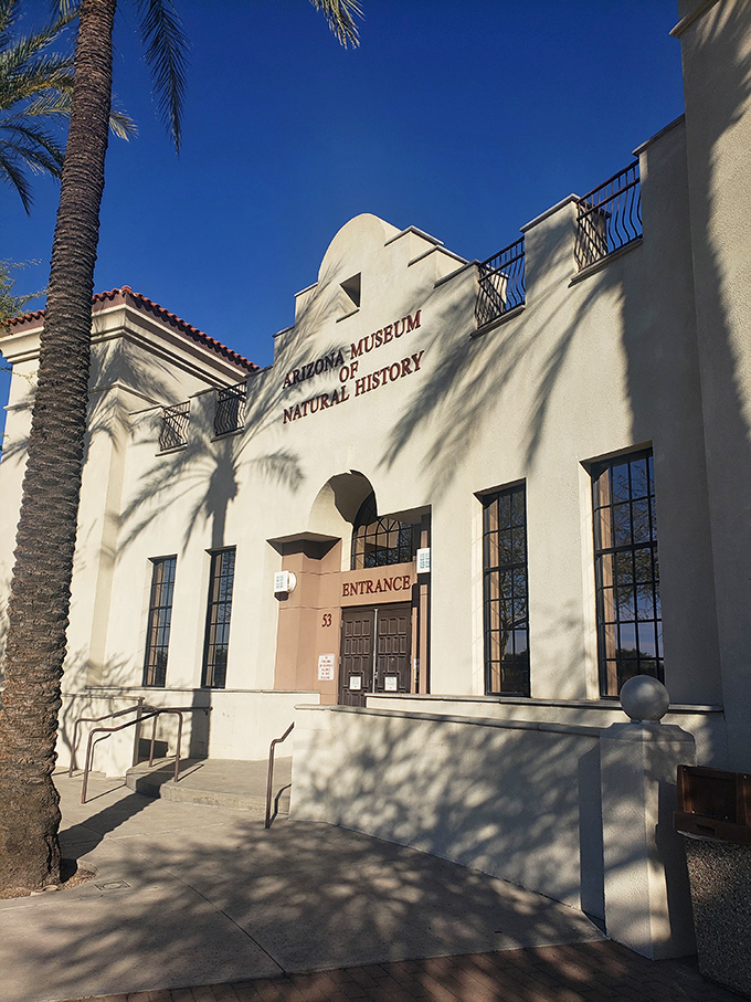 Palm trees frame the entrance to this family-friendly museum where dinosaurs roar and a three-story waterfall crashes through the exhibits.
