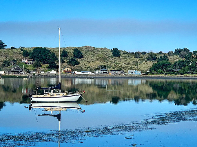 The rugged beauty of Bodega Bay's coastline makes you understand why Alfred Hitchcock chose it—minus the attacking birds, thankfully.