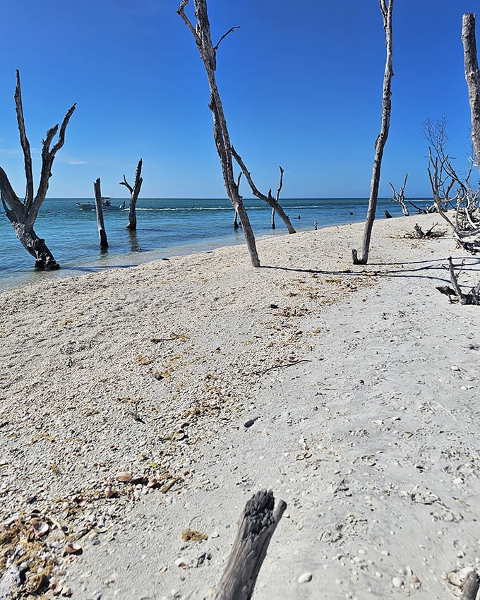 Cayo Costa's emerald waters against white sand&mdash;the kind of view that makes "out of office" replies so satisfying.