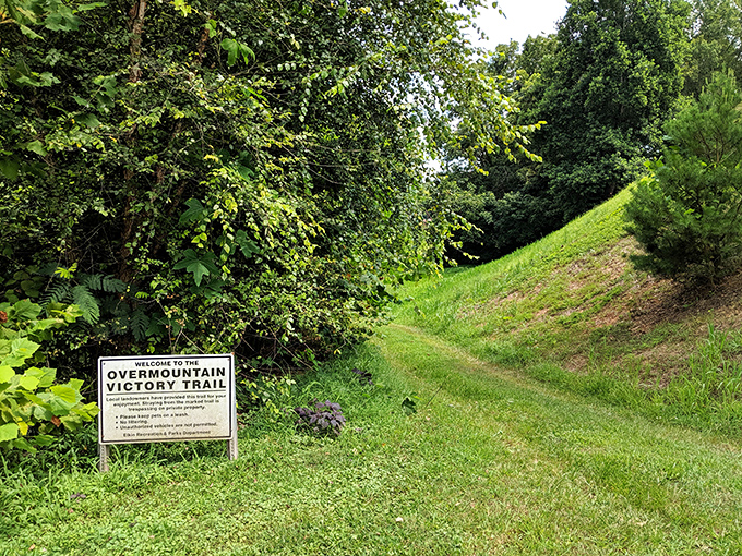 Elkin's main street stretches toward the horizon like an invitation to discover what small-town America offers today. 