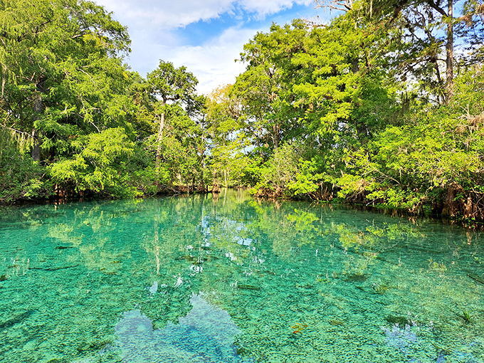 The grass is always greener when it's next to Fanning Springs' jewel-toned waters&mdash;nature's version of the perfect backyard pool.