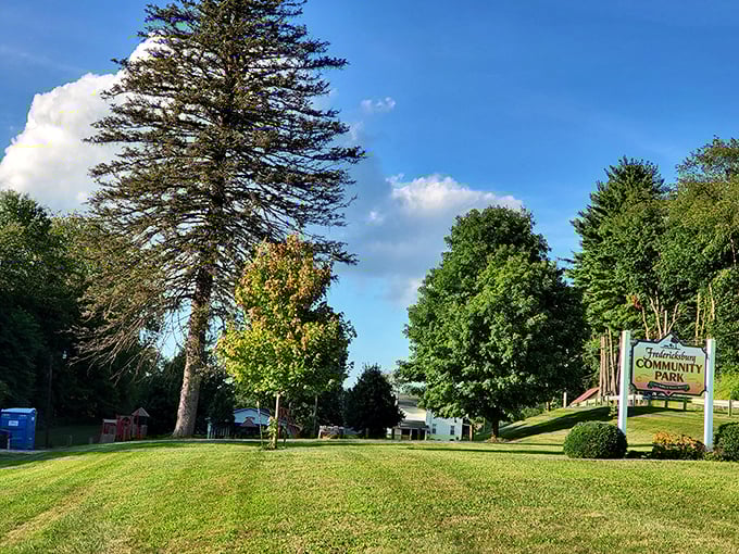 Fredericksburg Community Park&mdash;where "amenities" means trees, grass, and the radical notion of actual face-to-face conversation.