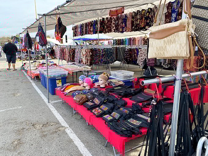 Handbags, scarves, and mannequin heads create a surreal shopping landscape. Fresno's version of a fashion runway!