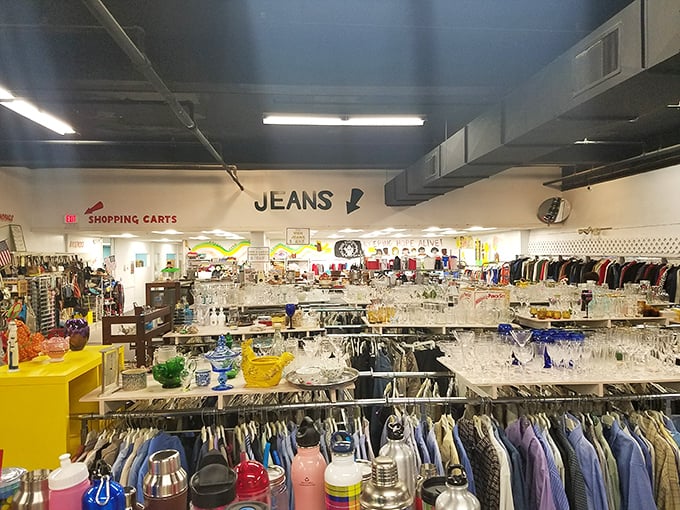 From glassware to clothing, Global Thrift's organized departments make treasure hunting a breeze.