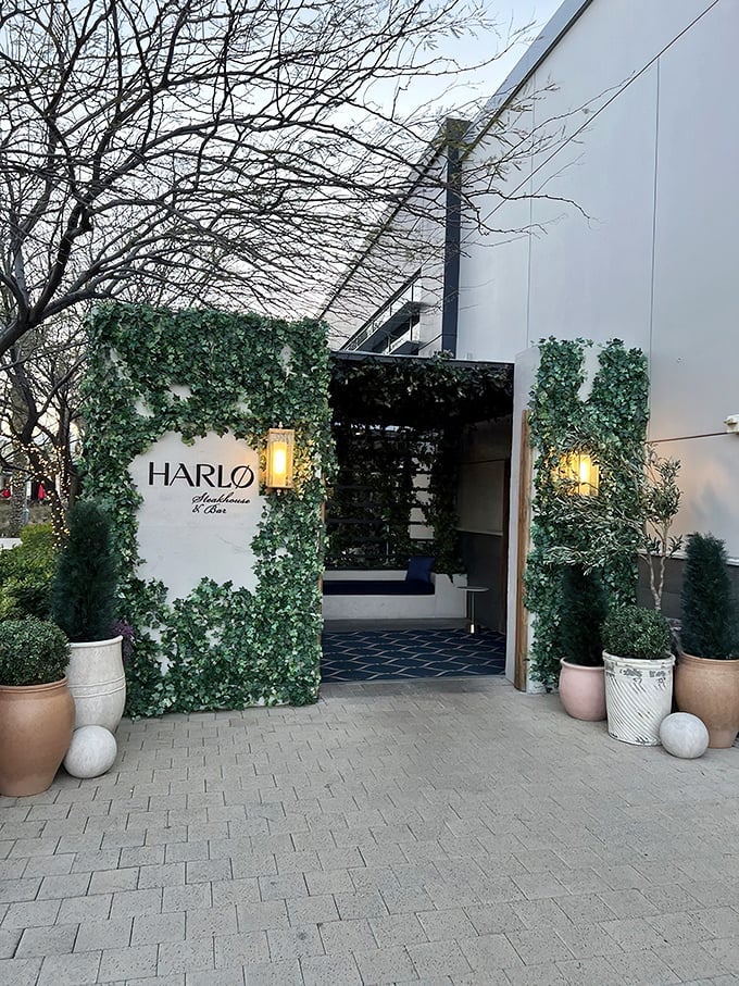 By night, Harlo's illuminated entrance creates an inviting glow that draws in those seeking a modern twist on classic steakhouse luxury.