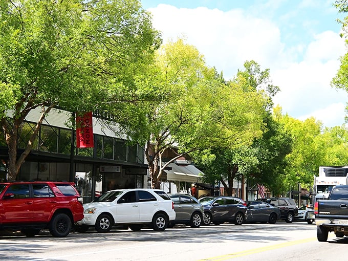 Historic buildings frame Monroe's inviting downtown, where Social Security checks transform into comfortable living and community connections.