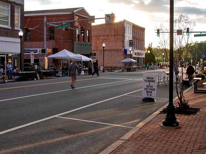 Historic buildings in downtown Pocomoke City stand as testaments to small-town resilience. If these bricks could talk, what tales they'd tell!