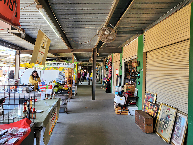 Indoor comfort meets outdoor market energy where air conditioning makes treasure hunting a year-round pleasure for everyone.