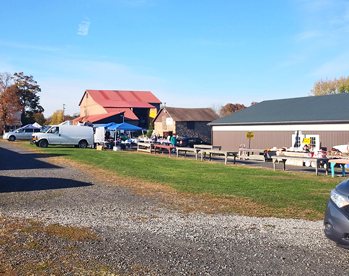 The morning sun illuminates Rice's Market, where early birds and bargain hunters converge in a dance as old as commerce itself.