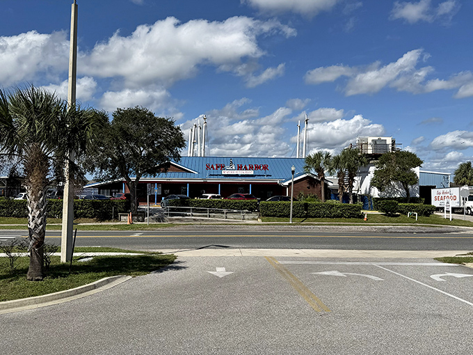 Red, white, and seafood! Safe Harbor's classic sign promises no-nonsense freshness that makes fancy restaurants seem silly by comparison.
