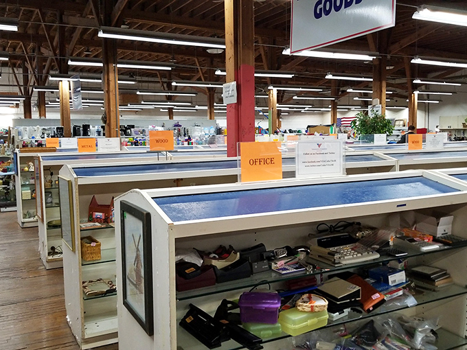 Display cases filled with life's miscellany create pathways through this treasure cave, each item tagged and categorized for easy hunting.