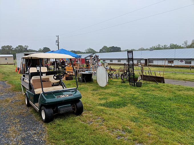 Rain or shine, the hunt continues. Even overcast days can't dampen the enthusiasm of dedicated vendors setting up their outdoor displays.
