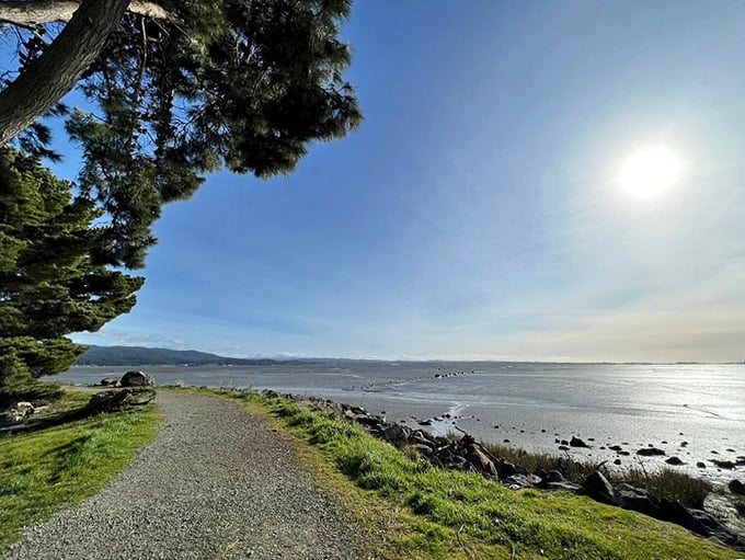 The Arcata Marsh combines ecological innovation with breathtaking views. Bird-watching has never felt less like your grandfather's hobby.