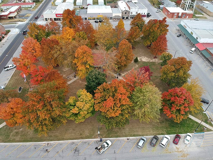 Fall paints Seymour's town square with a palette that would make Bob Ross weep with joy &ndash; nature's fireworks display before winter's quiet approach.