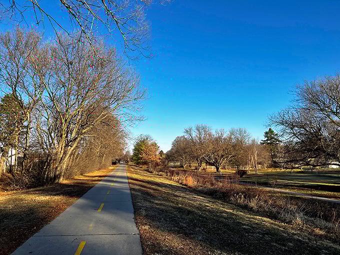 Fall in Seward paints the landscape in golden hues, creating pathways through autumn that somehow make even a simple walk feel cinematic.