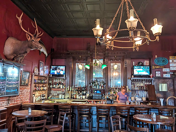 The bar area, complete with mounted deer, serves as mission control for craft beers and conversations that flow late into the evening.