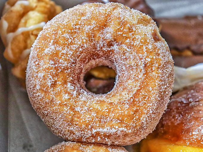 The display case offers a museum-worthy collection of donuts&mdash;each shelf a different exhibit of fried dough possibilities.