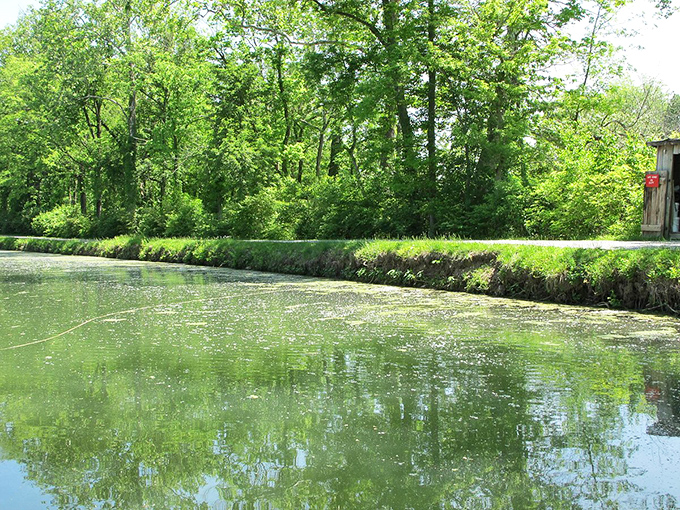Nature's green canvas frames the canal path, offering a serene escape that feels miles away from everyday worries.