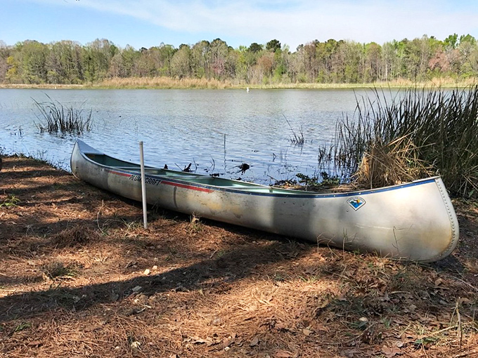 Adventure awaits in aluminum form &ndash; this canoe has probably witnessed more genuine smiles than most social media influencers. 