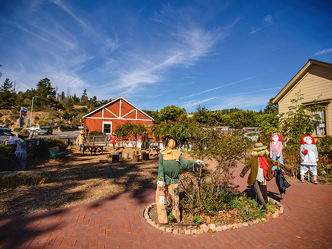 During the Scarecrow Festival, Cambria's gardens transform into whimsical galleries where straw-stuffed characters often outshine their human creators.