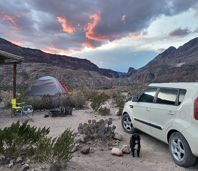 Sunset camping with a side of existential wonder. When night falls in the desert, the real show begins overhead.