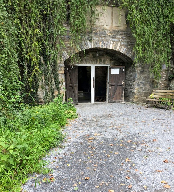 The vine-draped entrance feels like a portal to another world&mdash;Indiana Jones would approve of this adventure's beginning.