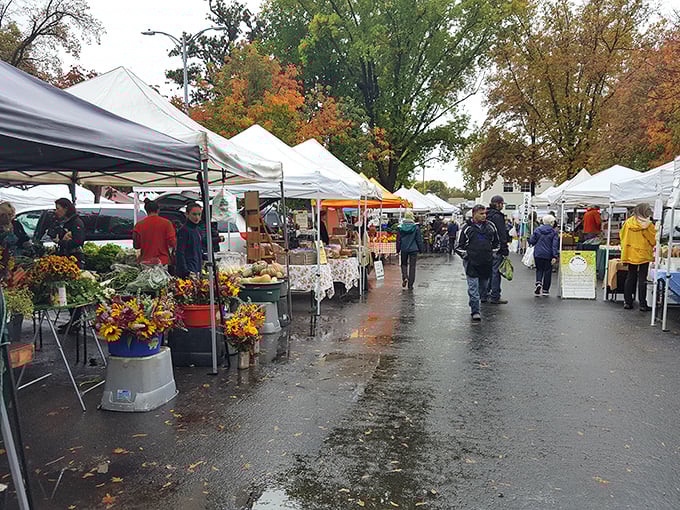 Rain can't dampen spirits at Chico's farmers market, where fall flowers and fresh produce create a cornucopia of local bounty.