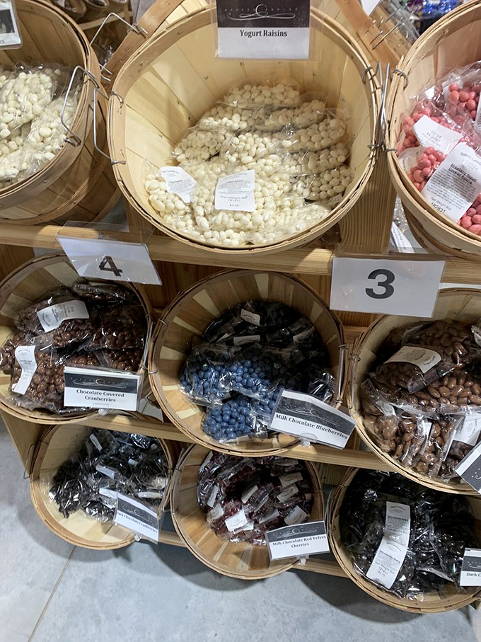 Yogurt raisins and chocolate-covered blueberries offer a "healthy" excuse to indulge. These fruity treasures provide the perfect guilt-free rationalization.