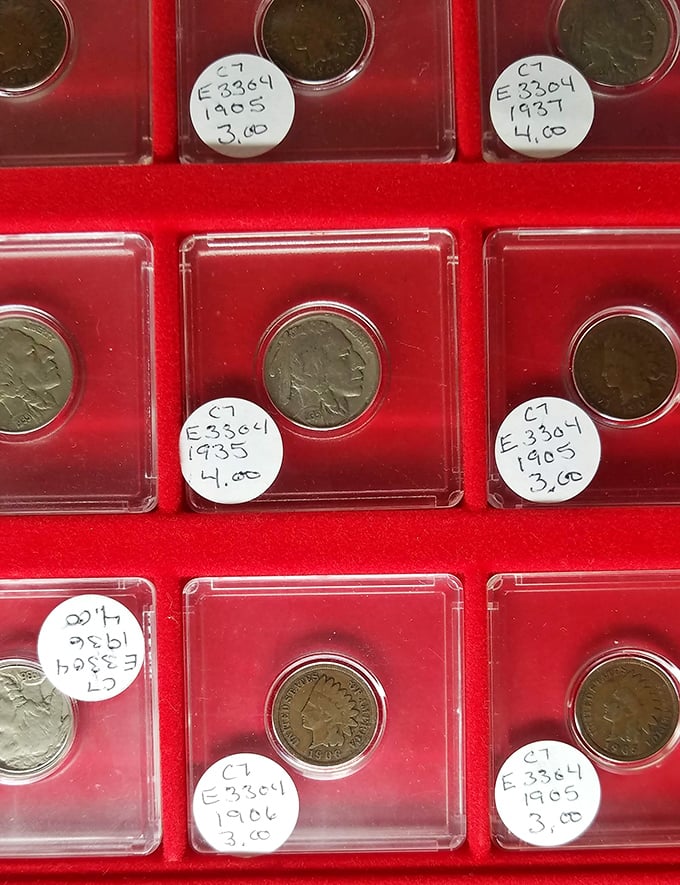 Numismatists rejoice! These vintage coins aren't just currency&mdash;they're tiny time capsules from America's past, each with its own story to tell.