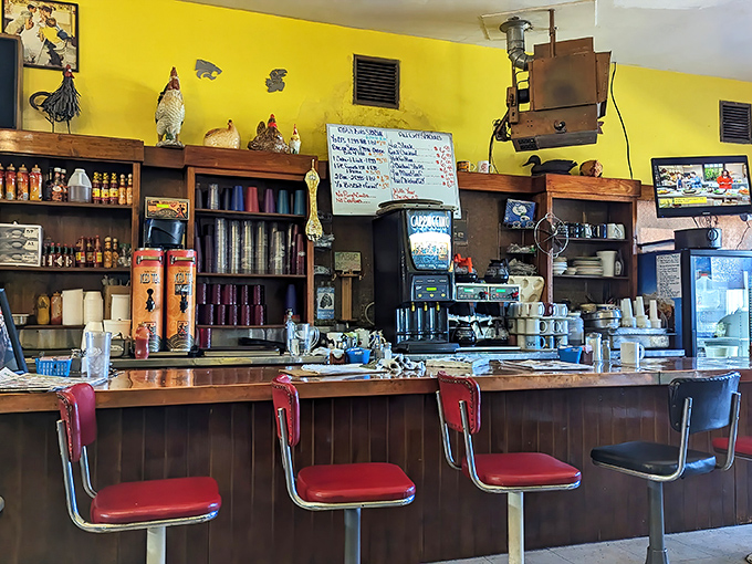The counter&mdash;where solo diners find community and the chicken collection watches over breakfast proceedings with poultry approval.