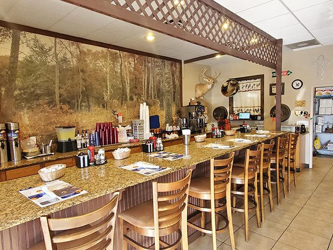 The counter seating offers front-row tickets to the breakfast show, complete with a forest mural that brings the outdoors in. 