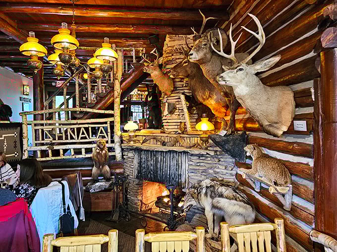 The taxidermy collection watches over diners with glass-eyed serenity, a reminder that you're dining in the heart of Wisconsin's wilderness. P