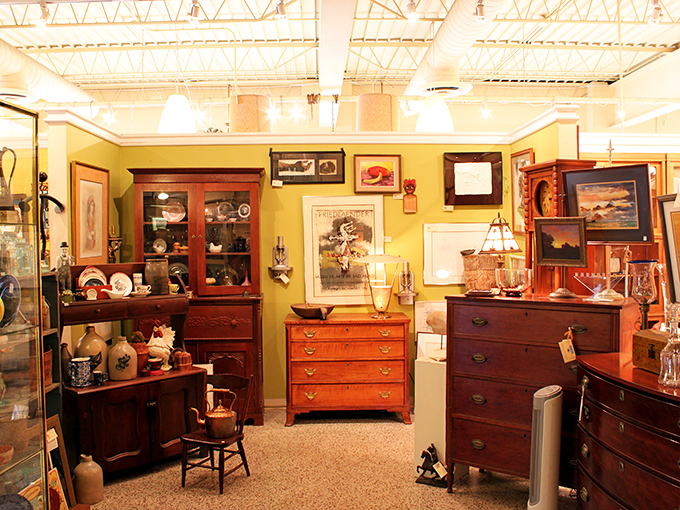 Antique cabinets filled with curiosities that blur the line between natural history museum and conversation-starting home decor.