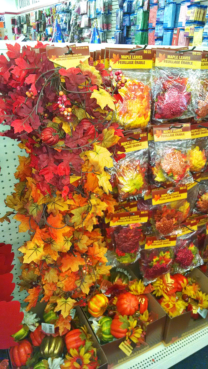 Seasonal decorations that transform your home without transforming your bank account. Fall vibes without the fall spending.